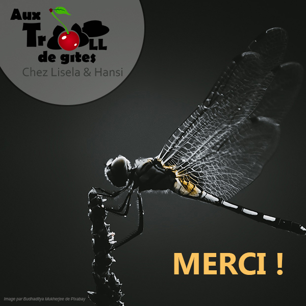UN GRAND MERCI A TOUS ! – Troll de Gites