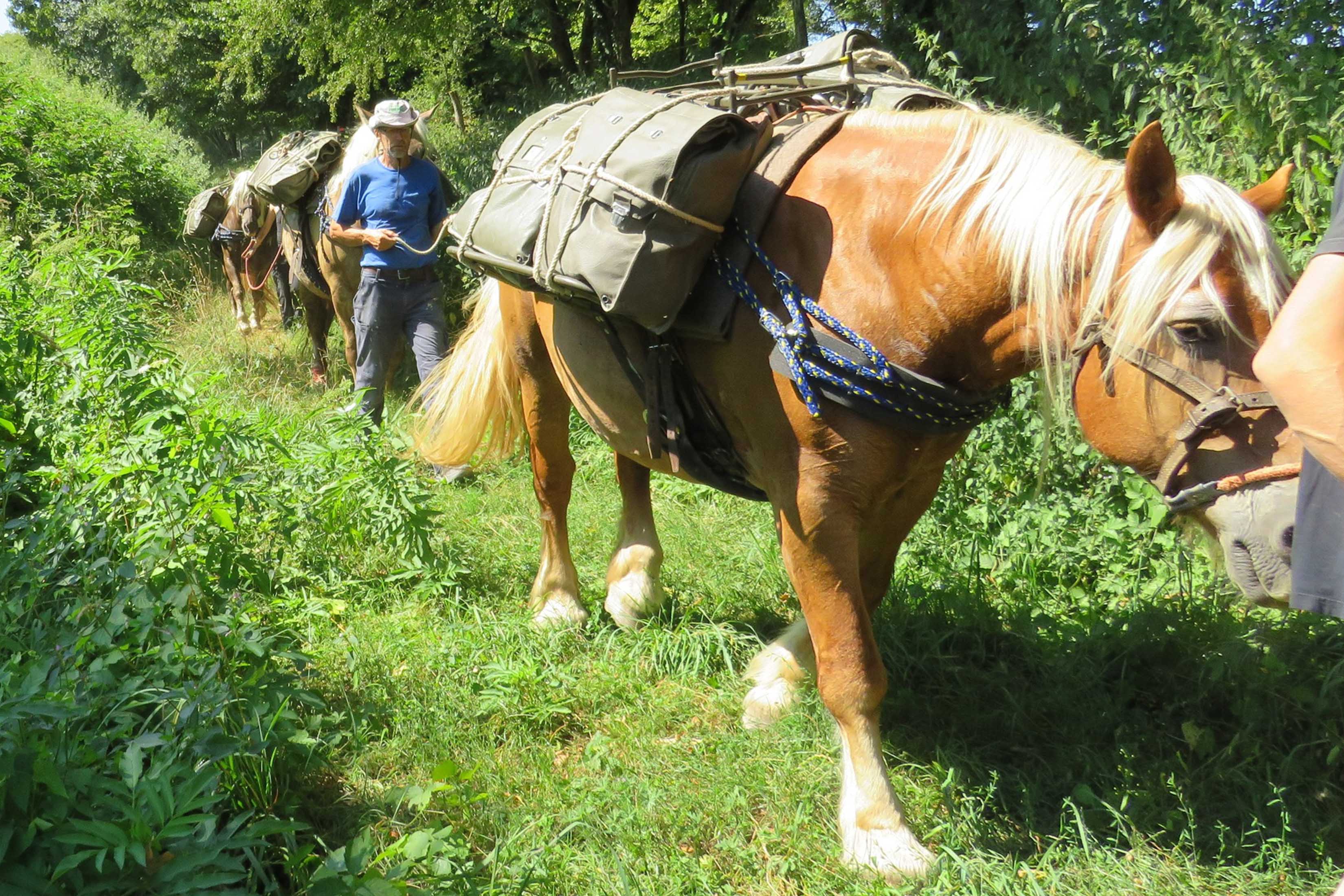RANDONNÉE AVEC UN CHEVAL DE BÂT – Troll de Gites